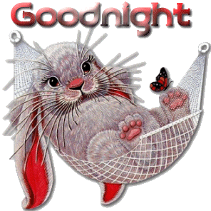 goodnight_bunny.gif gif by bjr400 | Photobucket
