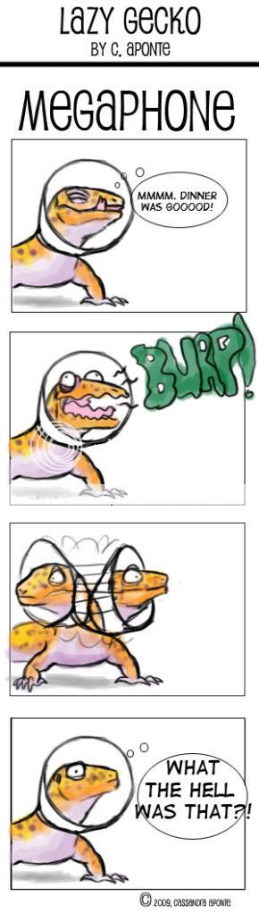 Lazy Gecko — LiveJournal